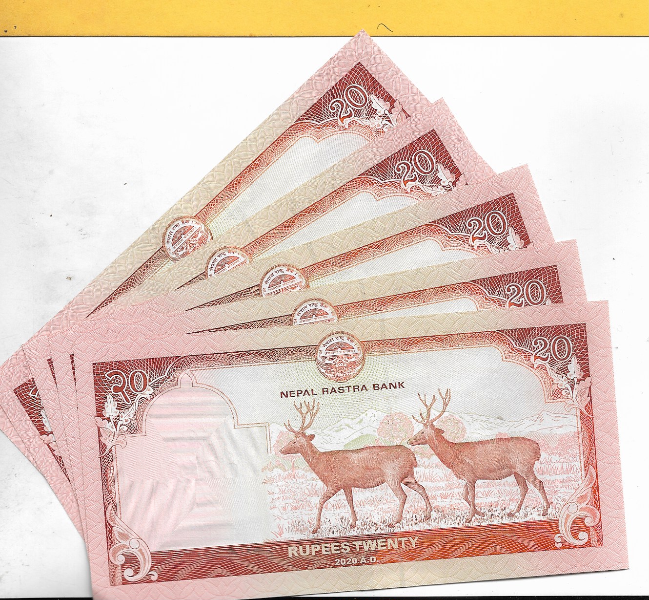 NEPAL ~ 20 RUPEES ~ UNC RARE NOTE ~ B-25 – Indian Hobby Club